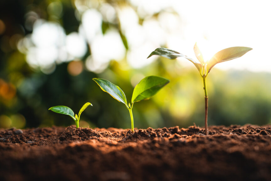 Main Use of Transformers in Power Supply | Trystar